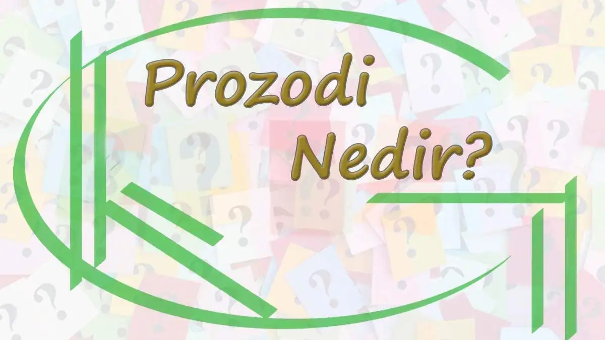 Prozodi Nedir Dilbilim ️ l Prozodi Bozukluğu Nedir